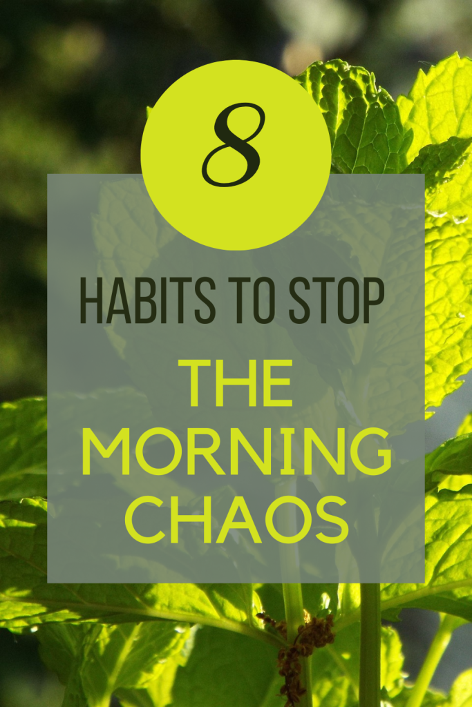 8 useful habits for stopping the morning chaos – Strawberry Mint Tea
